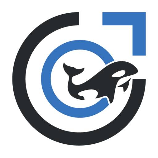 Services - Orca Strategies